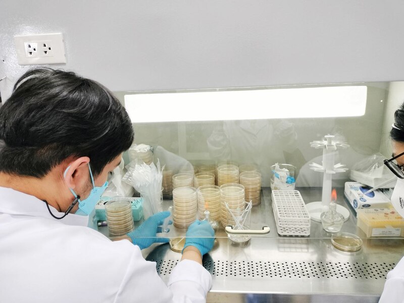 Research Lab – Fungal Laboratory – Institute of Biology