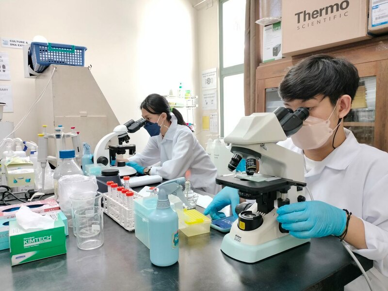 Research Lab – Fungal Laboratory – Institute of Biology