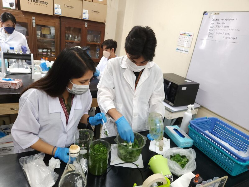 Research Lab – Fungal Laboratory – Institute of Biology